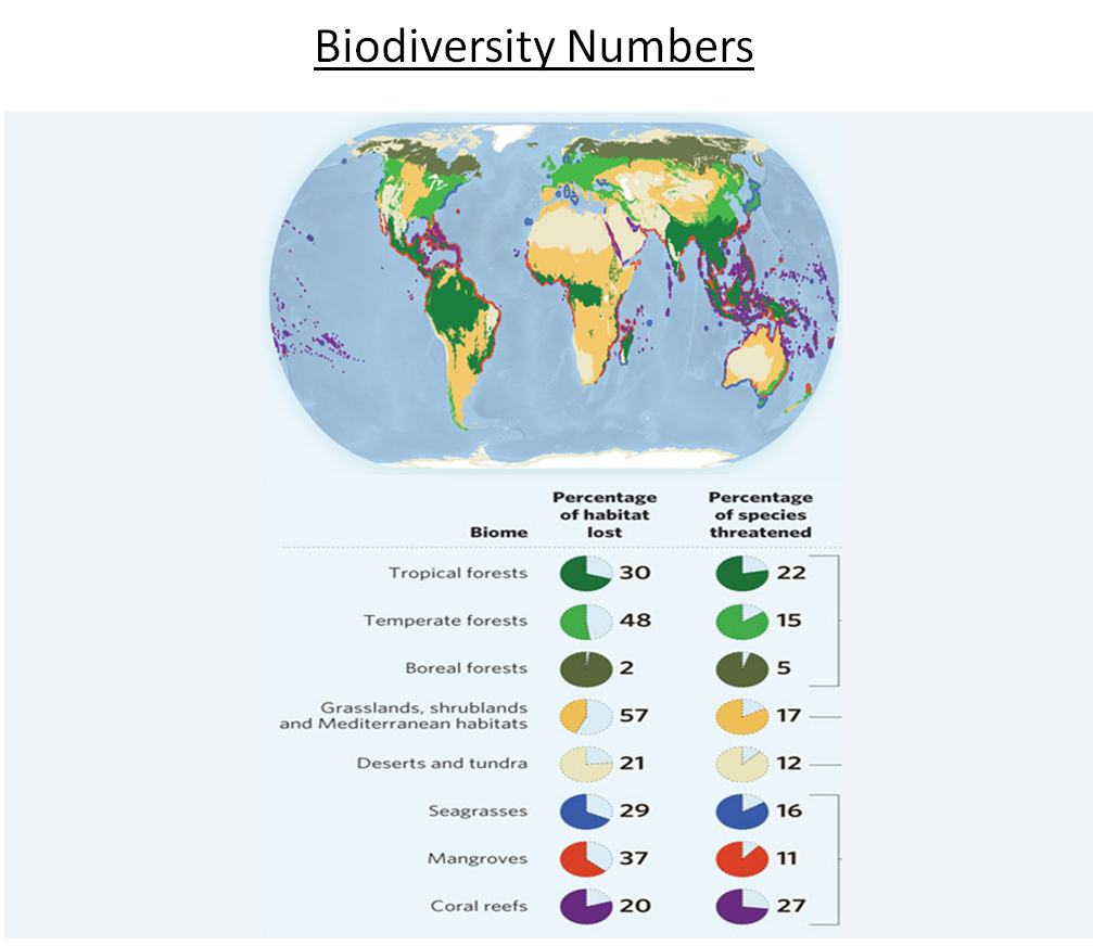 Biodiversity numbers | SIMCenter Biodiversity numbers | SIMCenter