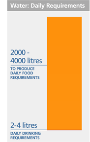 Water Daily Requirements | SIMCenter