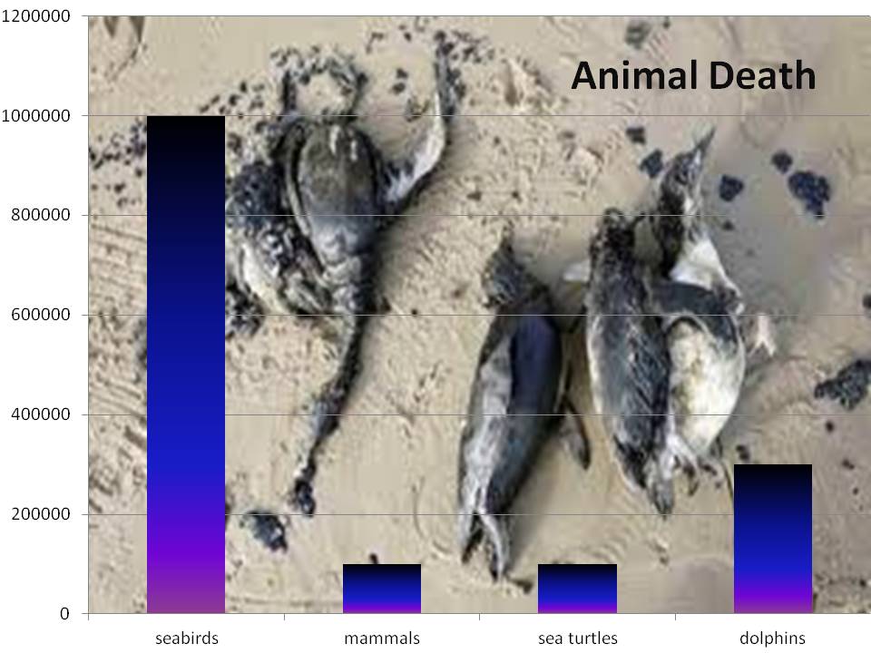 animal death | SIMCenter