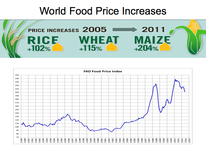 World Food Price Increases Over Time | SIMCenter